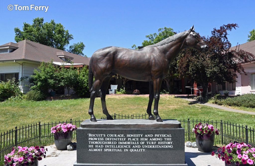 The Legend Of Seabiscuit And The Santa Anita Handicap | Horse Racing News