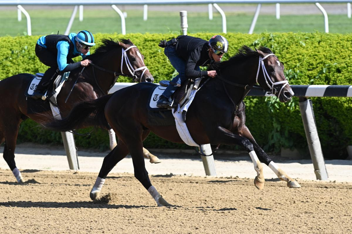 2023 Belmont Stakes: Look Who’s Back! Baffert, Forte, Durkin | Horse ...