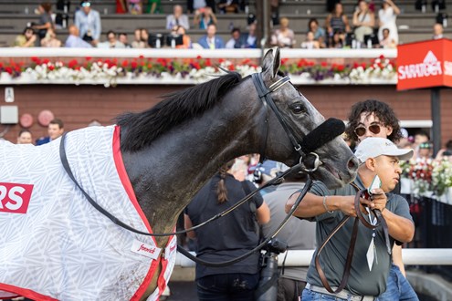2023 Travers Day: Arcangelo Rolls In Travers; Two More Horses Suffer ...