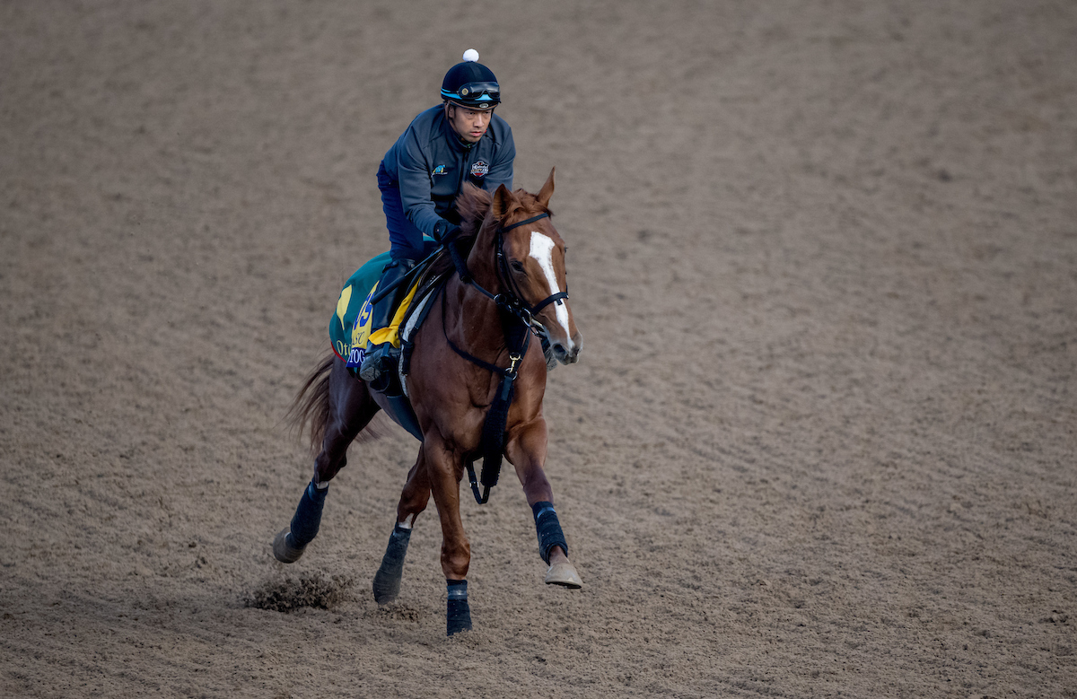 Breeders’ Cup Classic Contenders: DERMA SOTOGAKE 🏇 | Horse Racing News