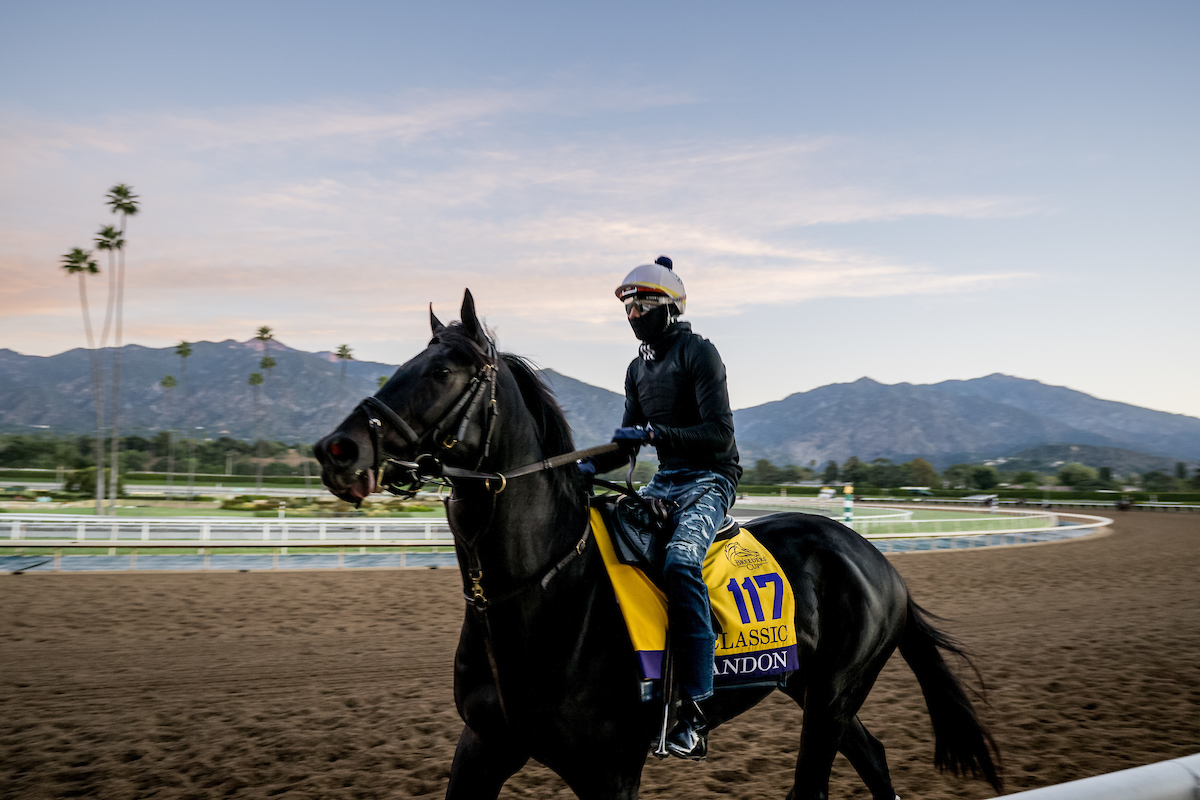 Breeders’ Cup Classic Contenders: ZANDON 🏇 | Horse Racing News