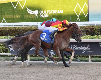 Gulfstream Park: Otello Scores In Mucho Macho Man Stakes | Horse Racing ...