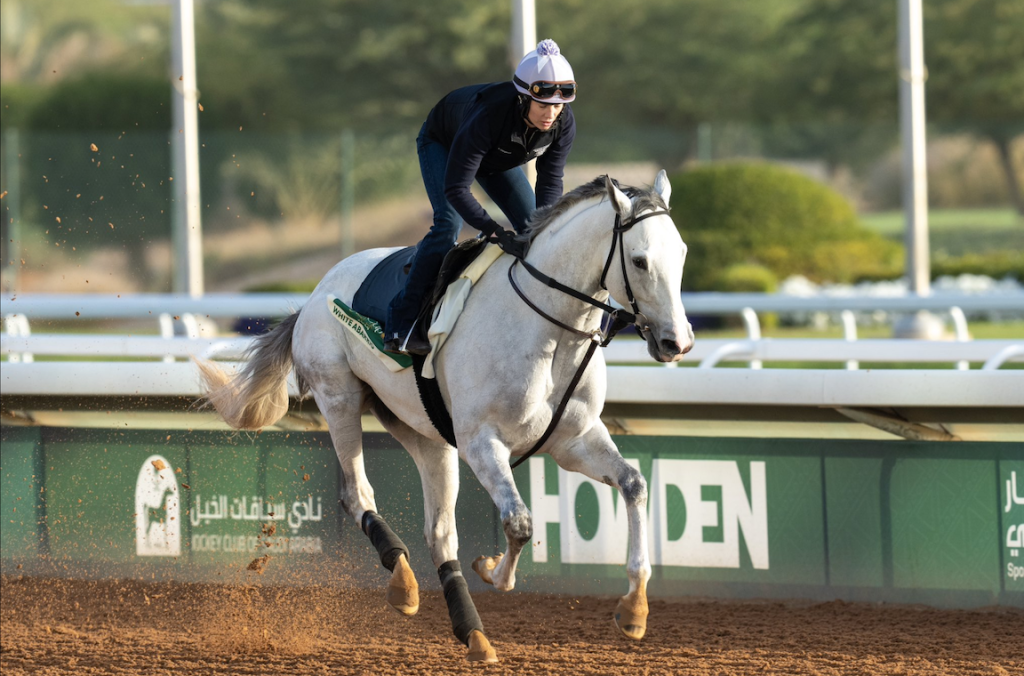 Saudi Cup Best Bet: Let’s Go With Rick Dutrow And White Abarrio | Horse ...