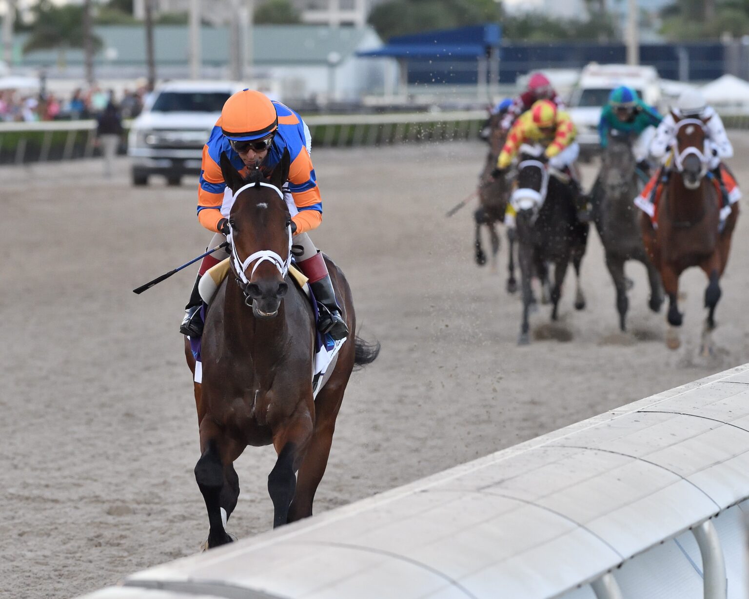 Fierceness Fantastic In Record-Setting Florida Derby Win | Horse Racing ...