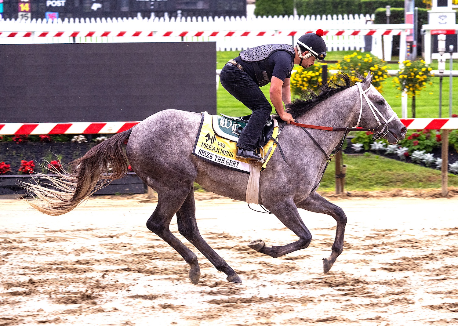 Seize The Grey Wins Preakness For Lukas; Snatches Triple Crown Bid From ...