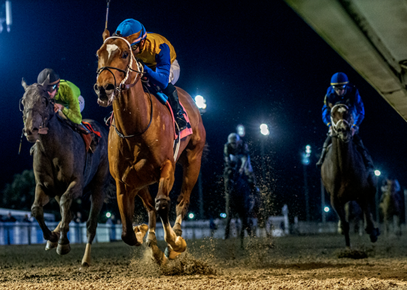 Admiral Dennis Favored In Five-Horse Gun Runner; Picks, Odds | Horse ...