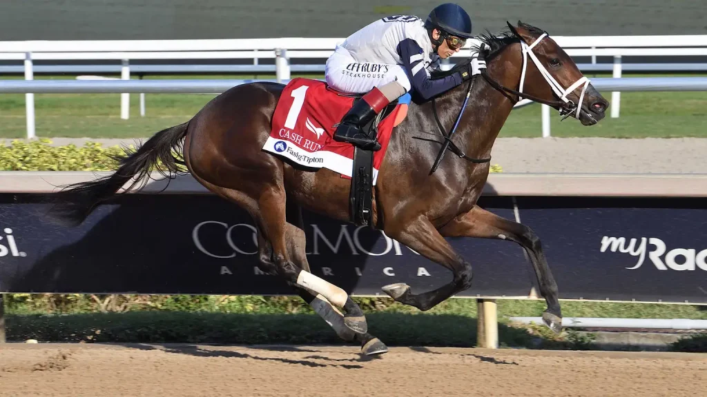 2025 Gulfstream Park Oaks: Top Contenders Picks and Odds