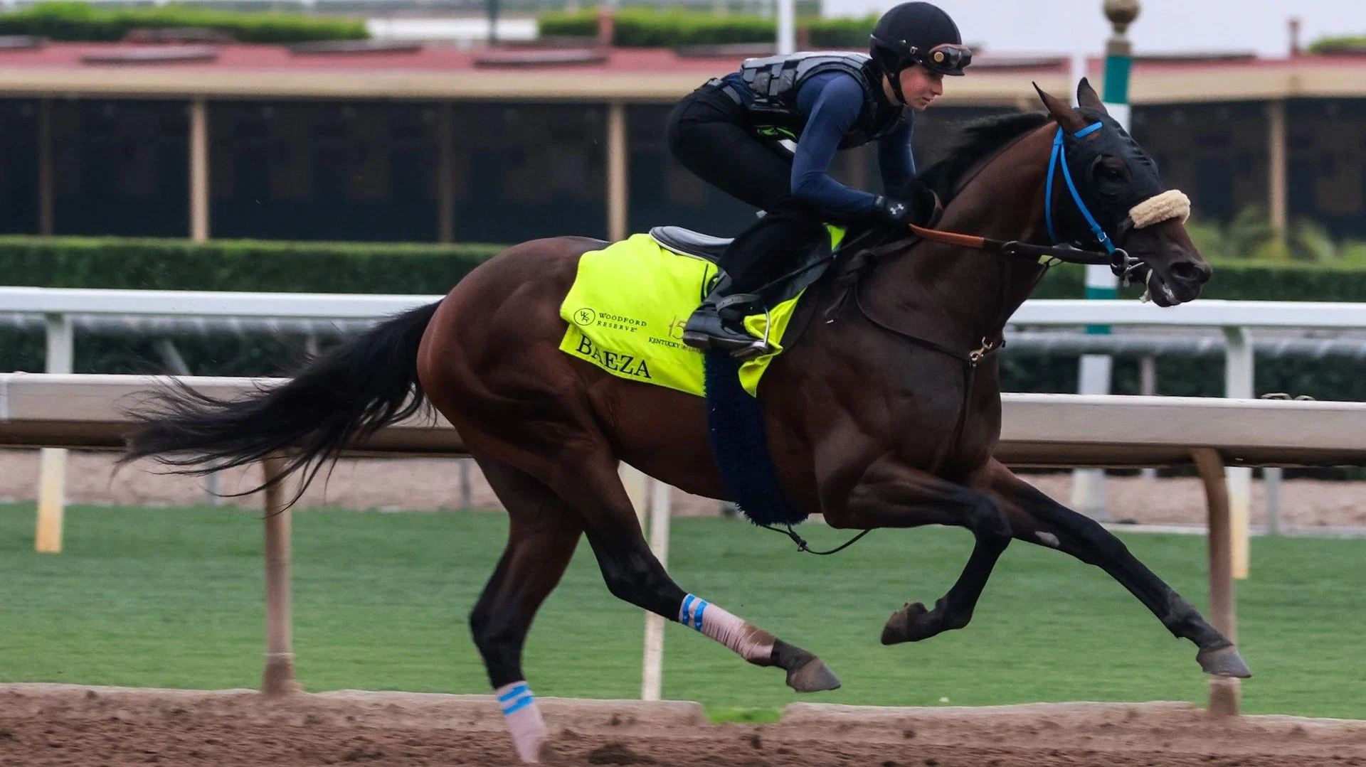 Baeza profile: 2025 Belmont Stakes odds, post position, jockey, trainer ...