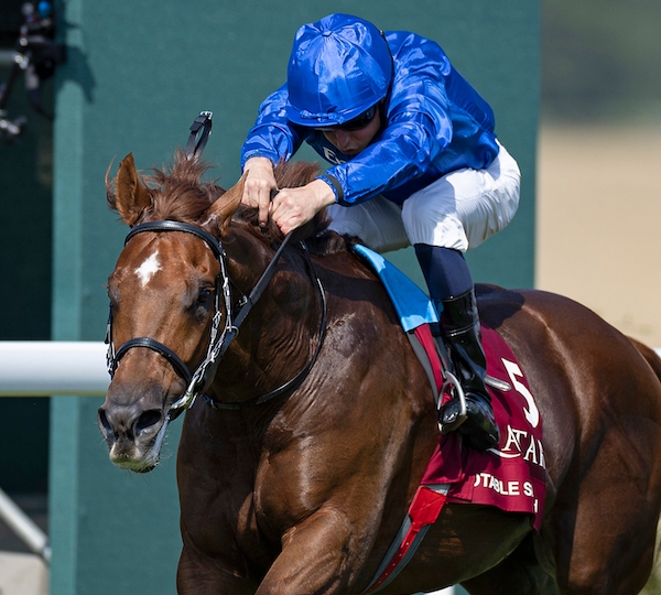 Breeders' Cup Mile: Schedule, Full Field Breakdown, and Best Value ...