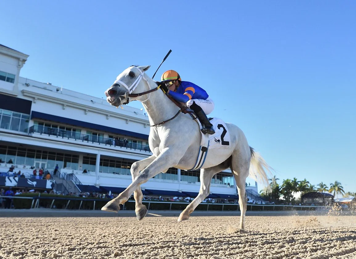 Mr. Prospector Stakes Odds & How to Watch | US Racing