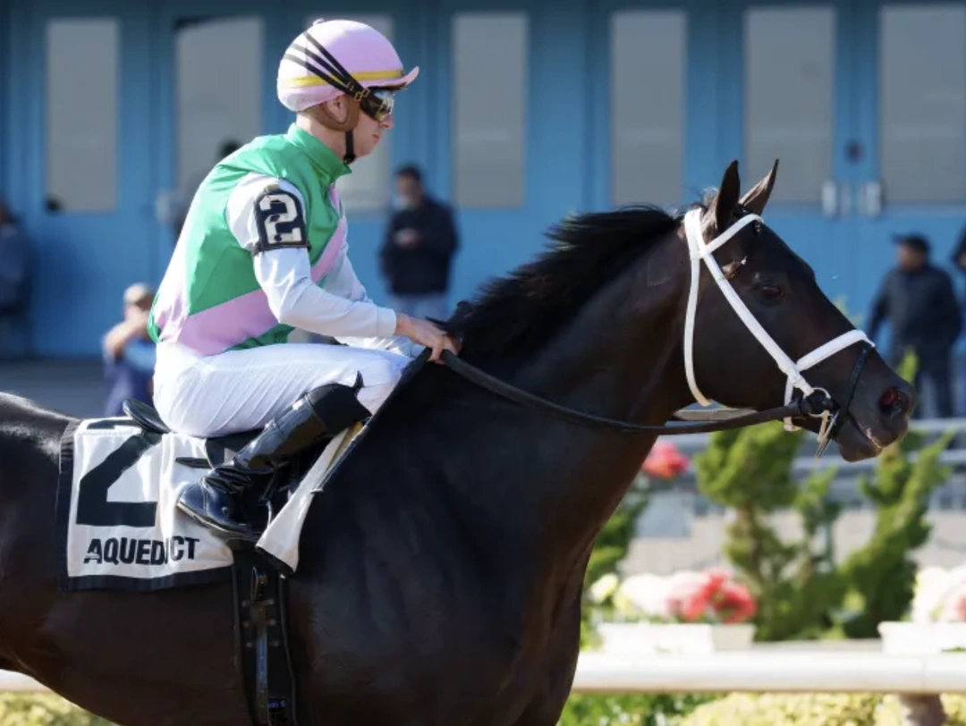Pegasus World Cup Contender Profile: Disco Time | US Racing