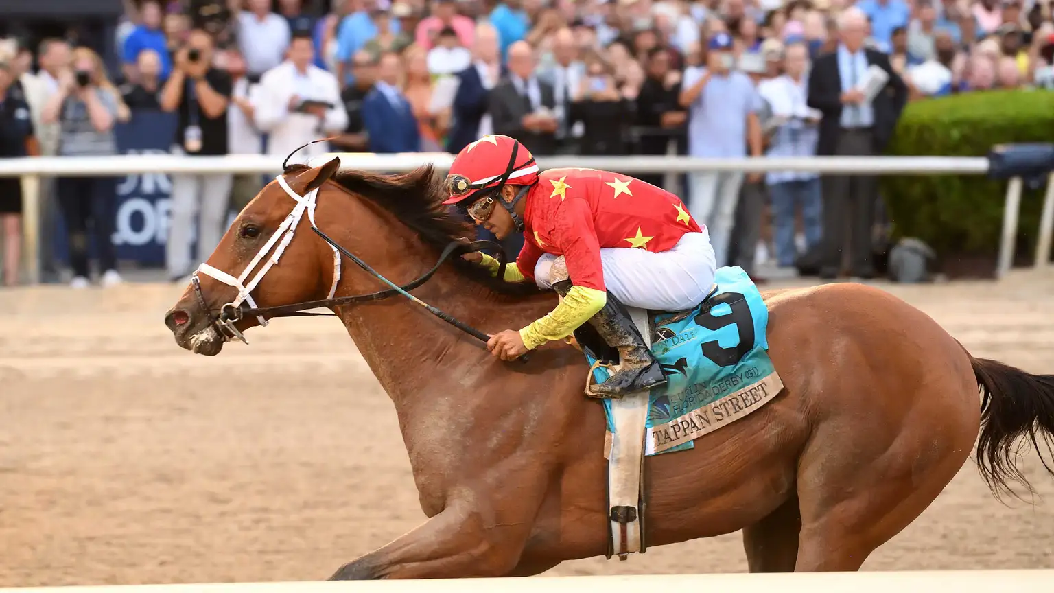 Pegasus World Cup Contender Profile: Tappan Street | US Racing