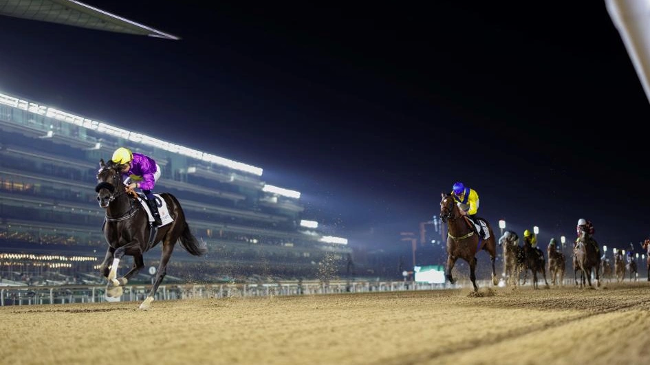 Kentucky Derby Odds: International Horses - Can Wonder Dean or Six ...